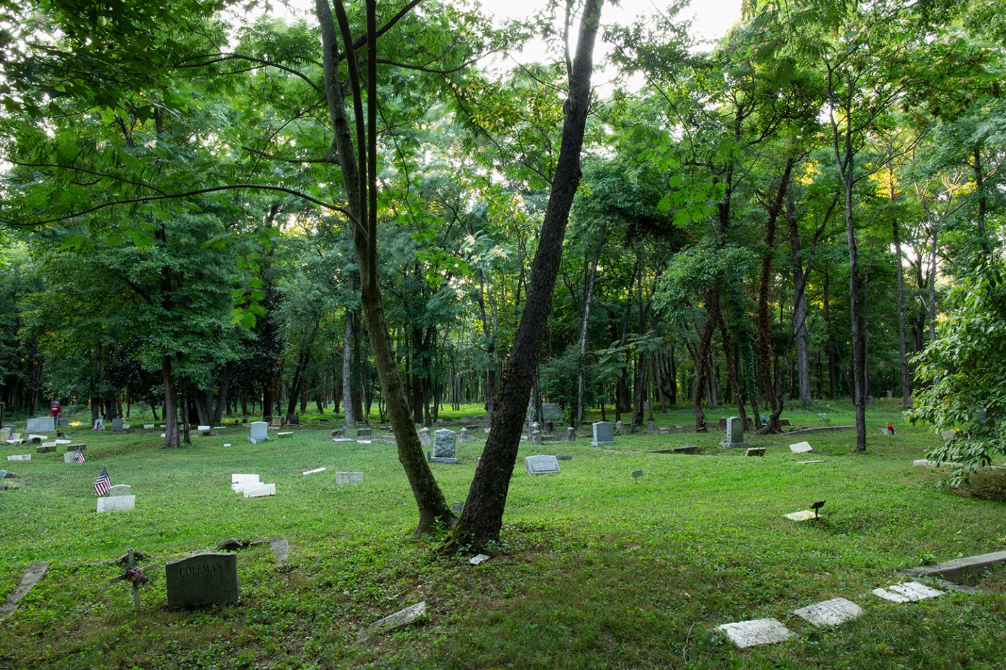 East End Cemetery – Friends of East End
